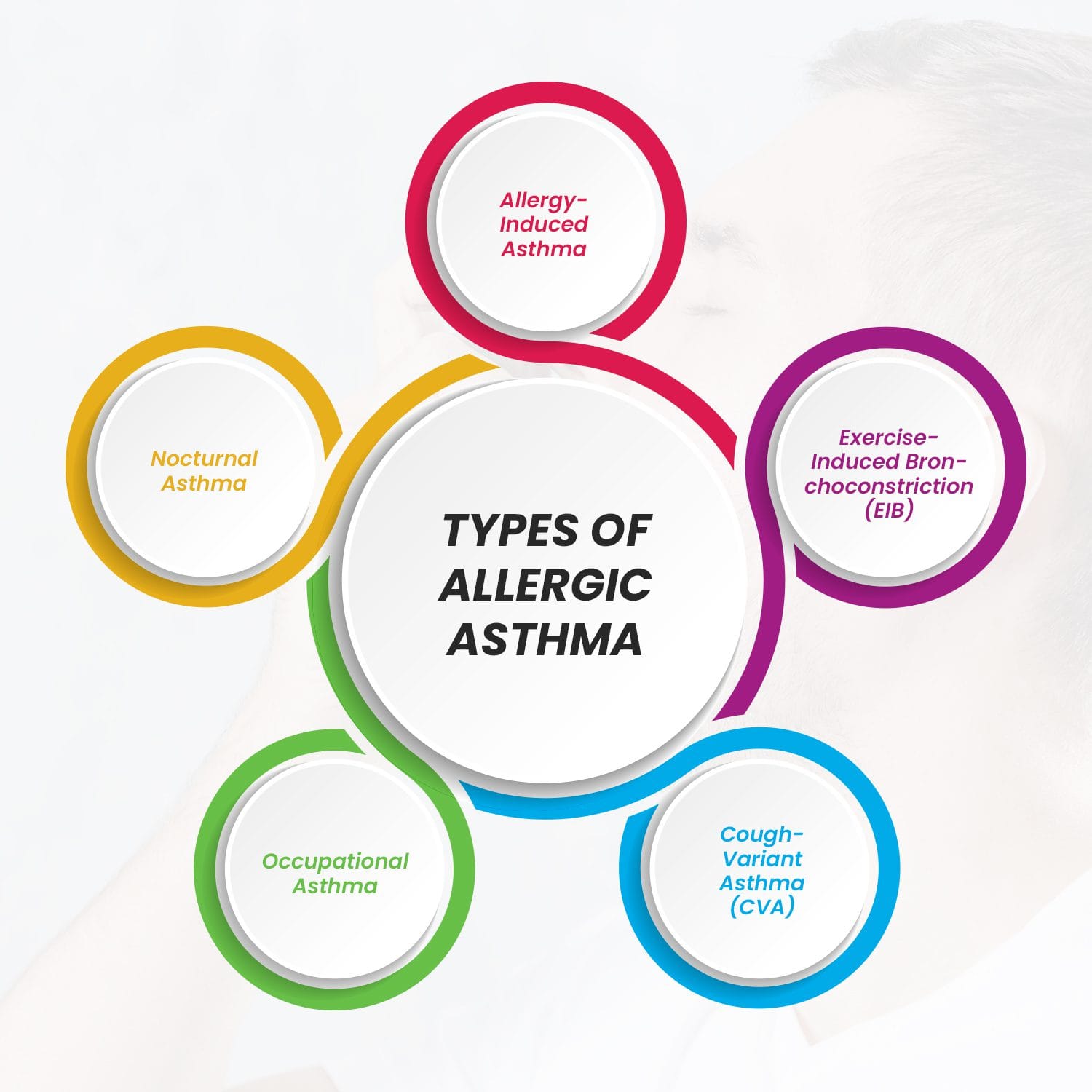 11 Natural Remedies For Allergic Asthma | The Hidden Cures